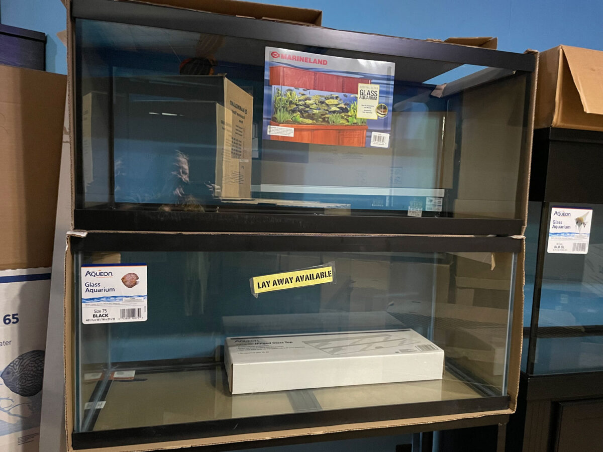 Aqualand Aquarium Center, Services