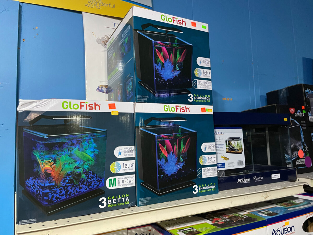 Aqualand Aquarium Center, Services